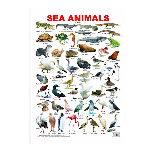 Sea Animal (Early Learning Chart) – Chirukaanuka