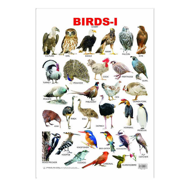 Birds -1 (Early Learning Chart) – Chirukaanuka