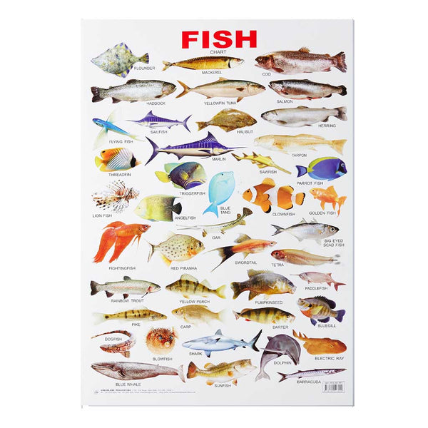 Fish (Early Learning Chart) – Chirukaanuka