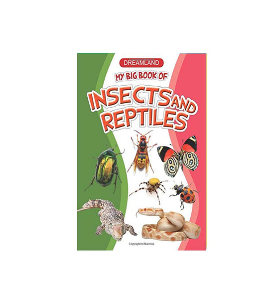 My Big Book of Insects And Reptiles (English) – Chirukaanuka