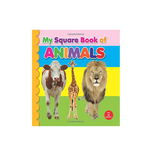 My Square Board Book - Animals (English) – Chirukaanuka